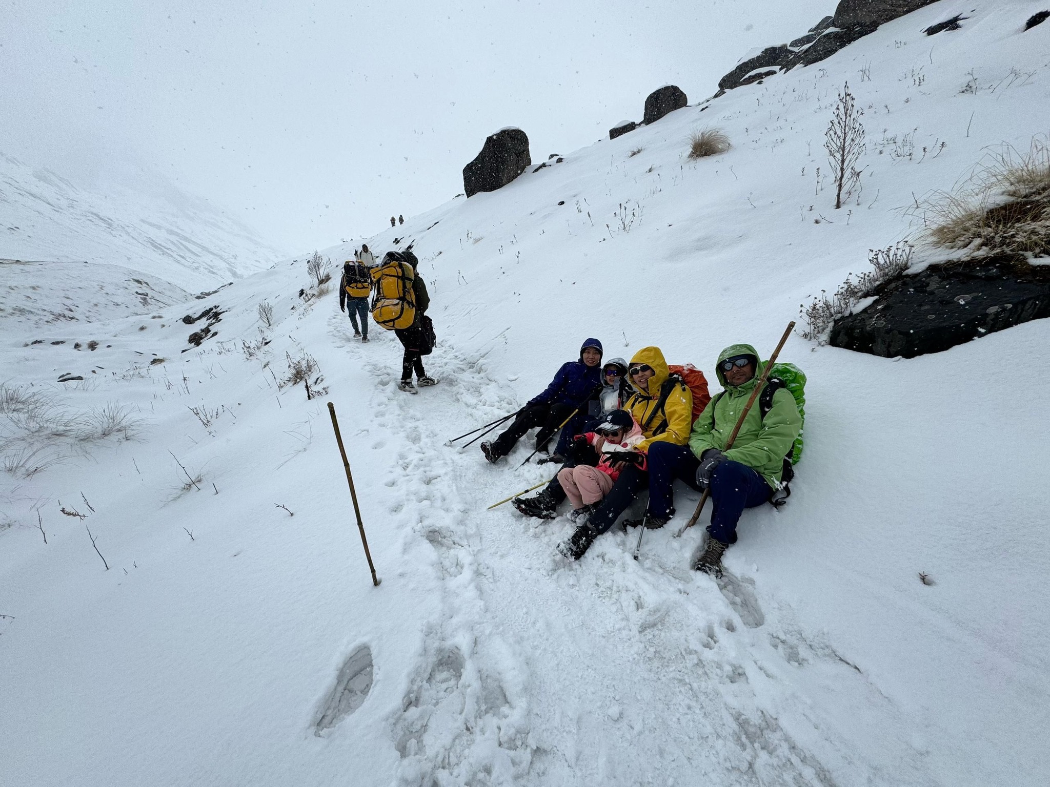 Mardi Himal Trek Vs Annapurna Base Camp Trek: Which Adventure Is Right ...